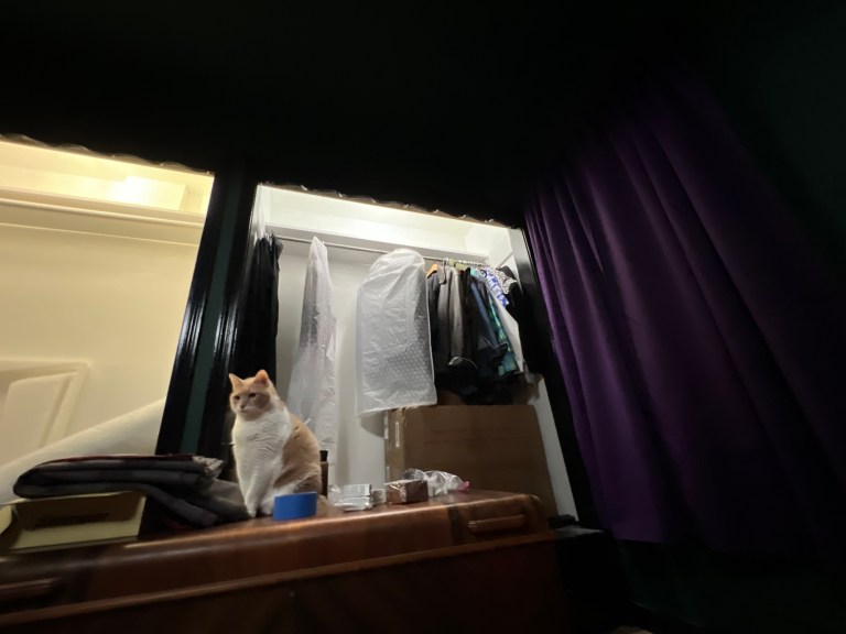 absolute – Carb Tripper 2