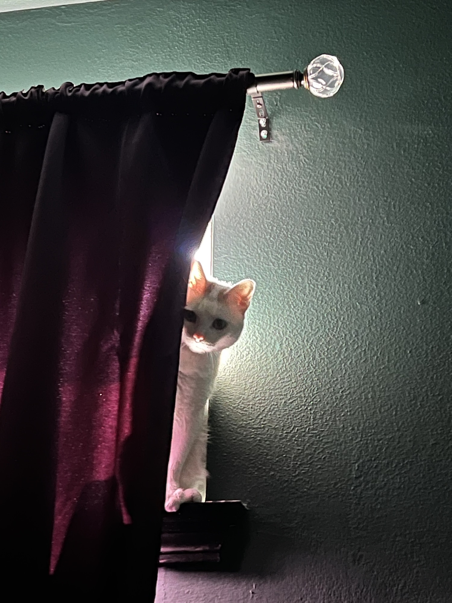 hbd to me – Carb Tripper 2