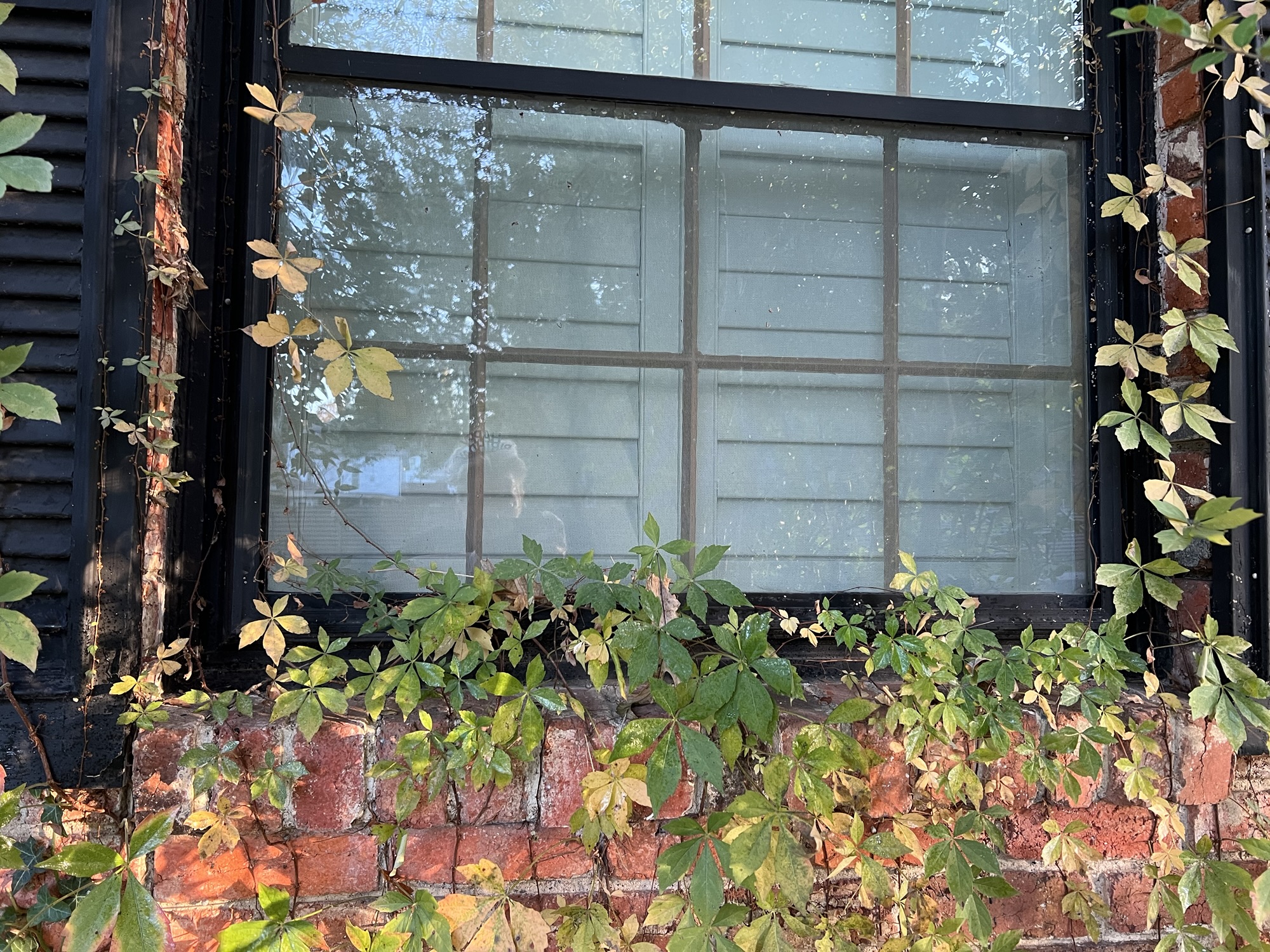 sexa-genarian – Carb Tripper 2