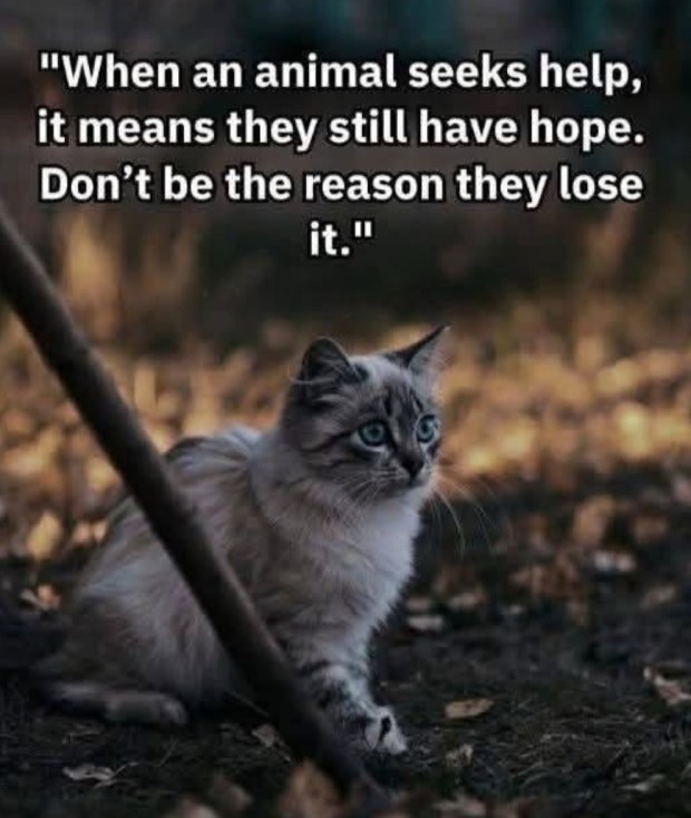 crazy day – Carb Tripper 2